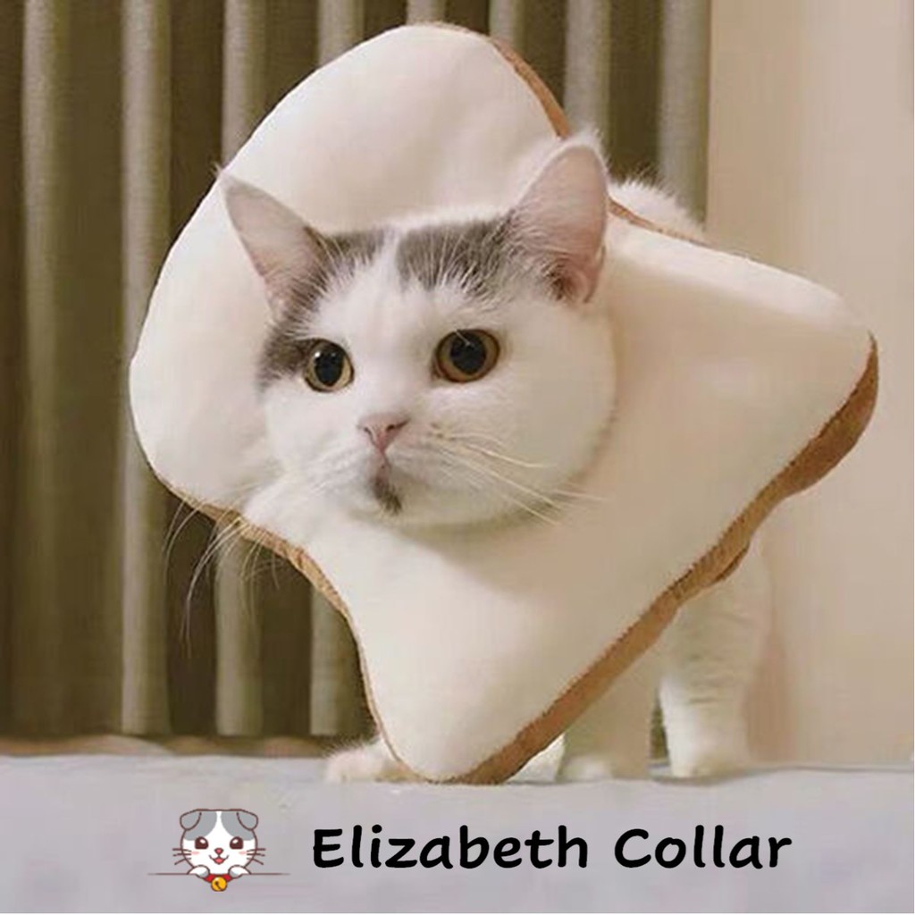 GUN PET READY STOCK Cat Elizabeth Collar Recovery Protective E Collar ...
