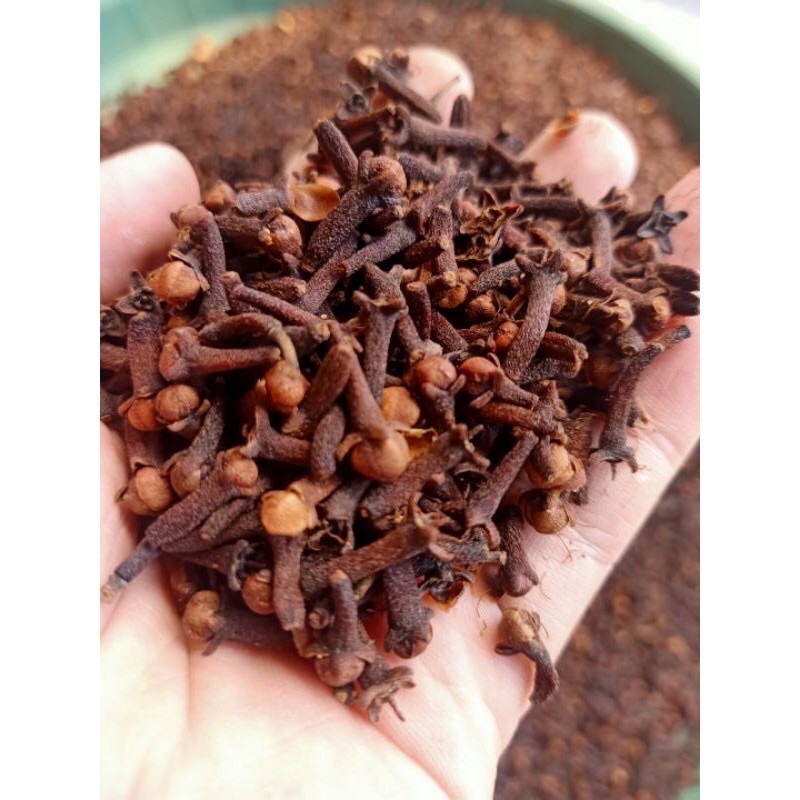 Premium cloves 100 grams dry and fresh | Shopee Malaysia