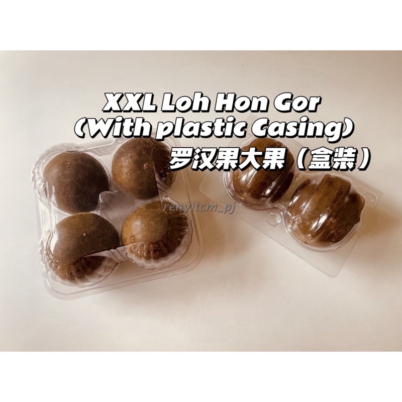 罗汉果有保护盒 {With Plastic Casing}XXL Loh Hon Gor 罗汉果 凉茶 herbal tea teh ...