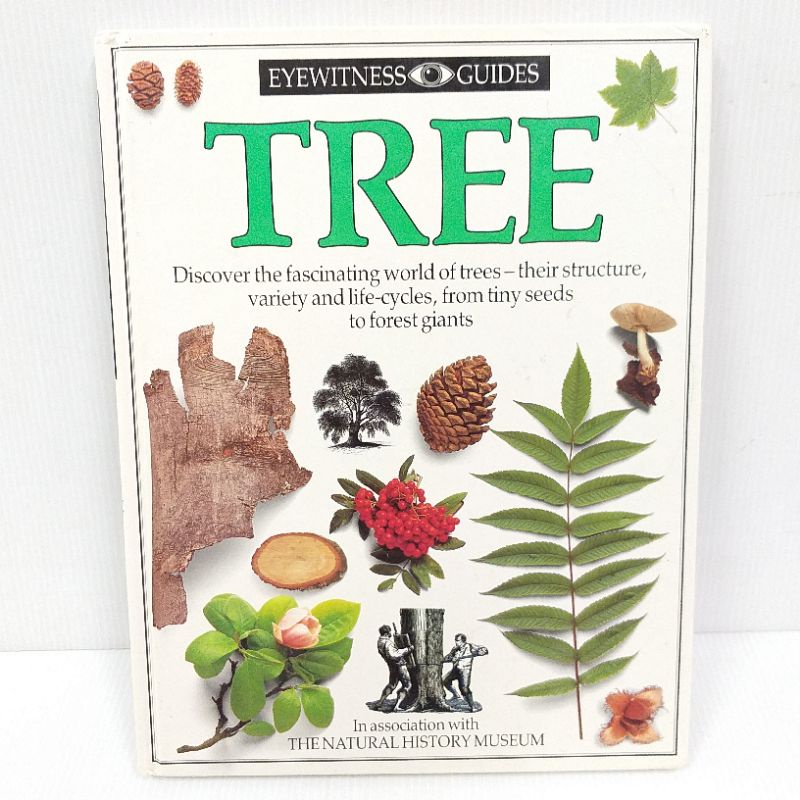 Eyewitness Guides: Tree English Book Second Hand Non-fiction Large ...