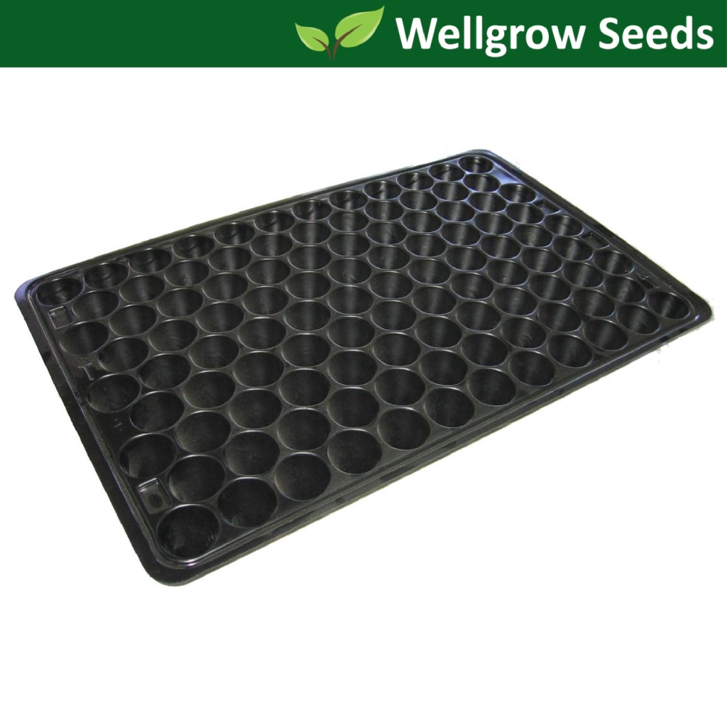 (Bundle Pack) Seedling Tray 104 holes (5 pcs) / Dulang Bekas Semaian ...