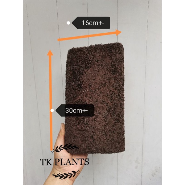 TKP , Fern Slap , Papan Pakis , 厥根板，natural material | Shopee Malaysia