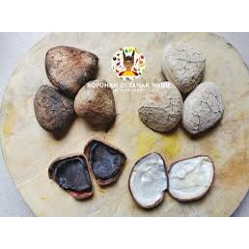 💥 Borneo Food *PANGI* RESEPI MAKANAN 💥🥰🥰 | Shopee Malaysia