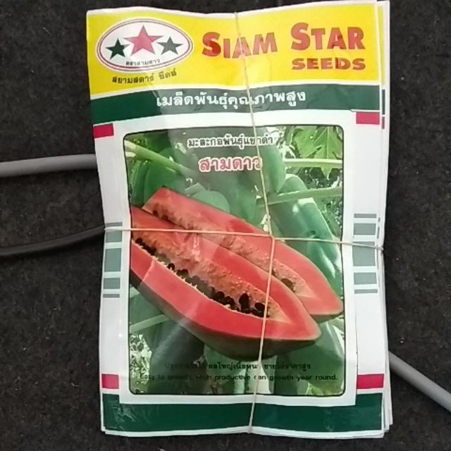 Benih / Seeds Betik Emas Hitam "SIAM STAR" Thailand | Shopee Malaysia