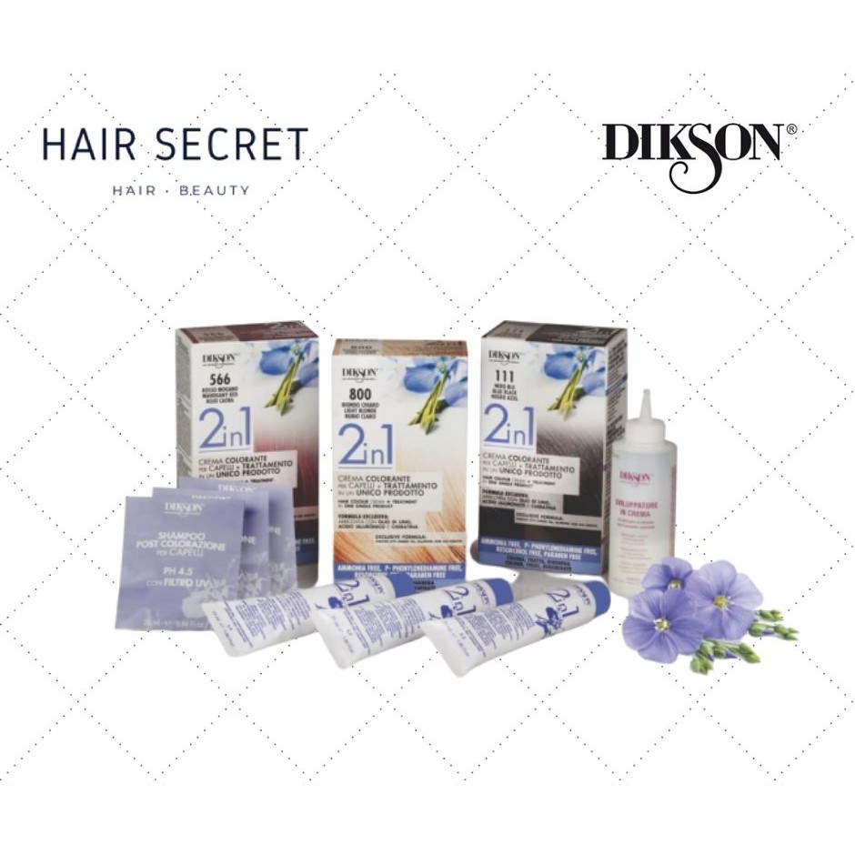 Dikson Professional DIY Hair Color 2 in 1 (Within 15 min) | Shopee Malaysia