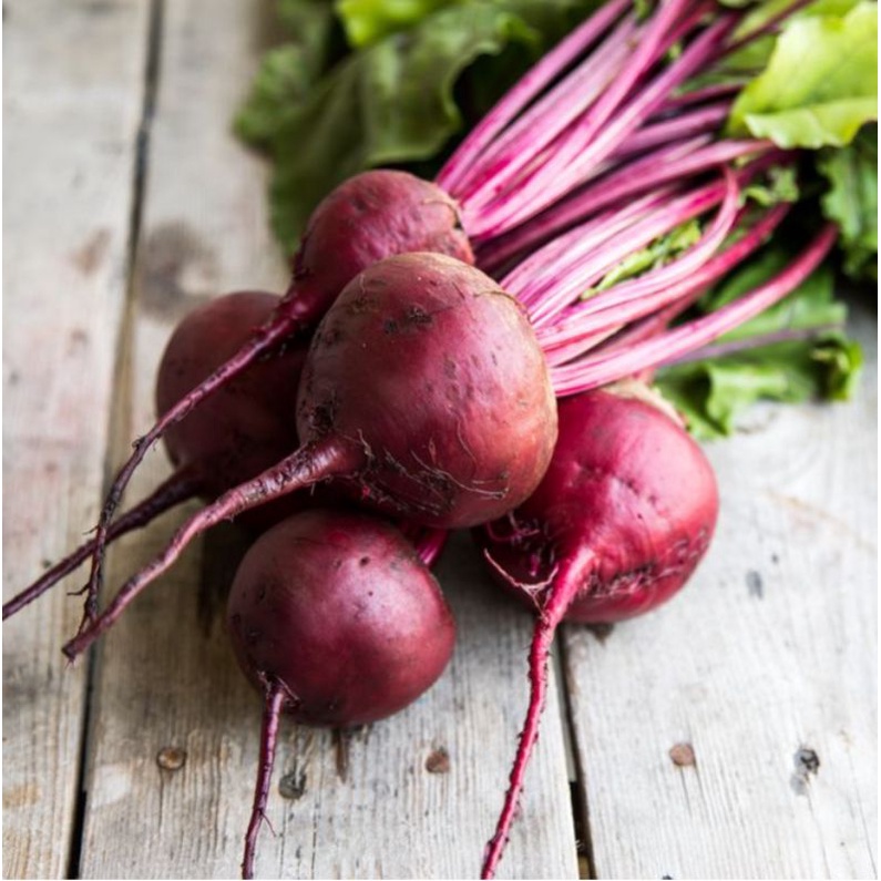 10 pcs benih ubi bit merah red beetroot seed benih sayur murah vege ...