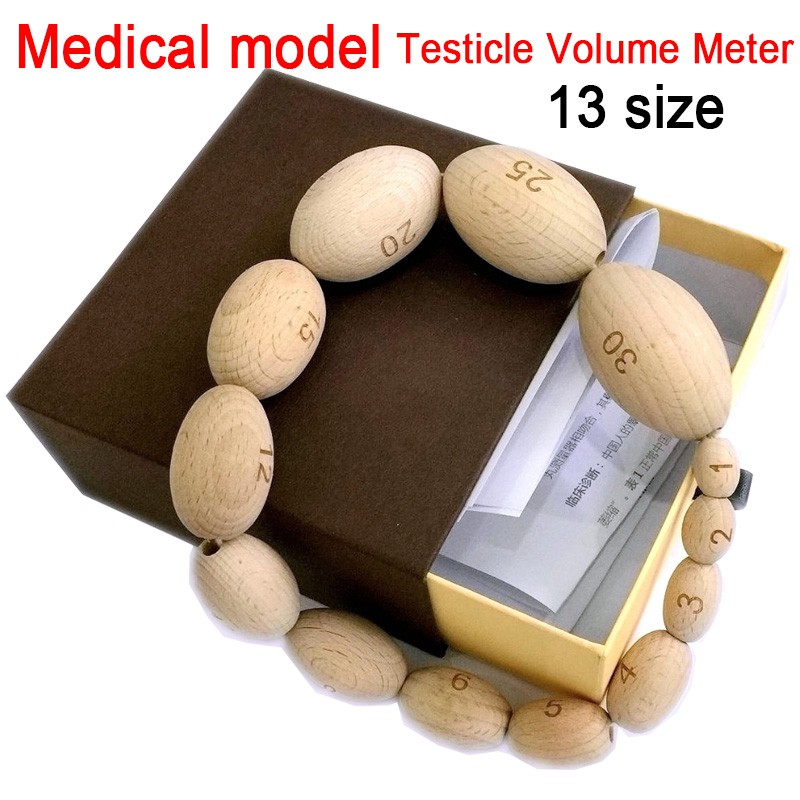 Testicle volume meter testis measurement Orchidometer Medical teaching ...
