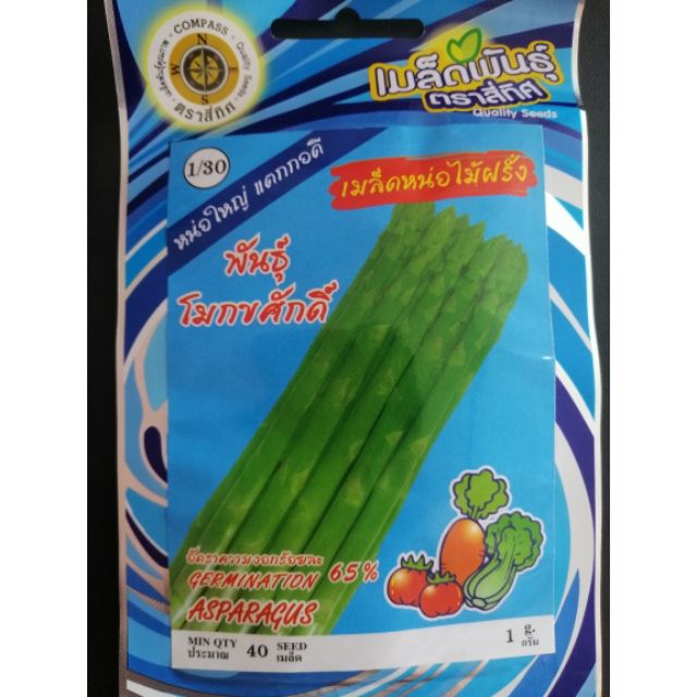 Benih asparagus jenis besar (40seed) | Shopee Malaysia