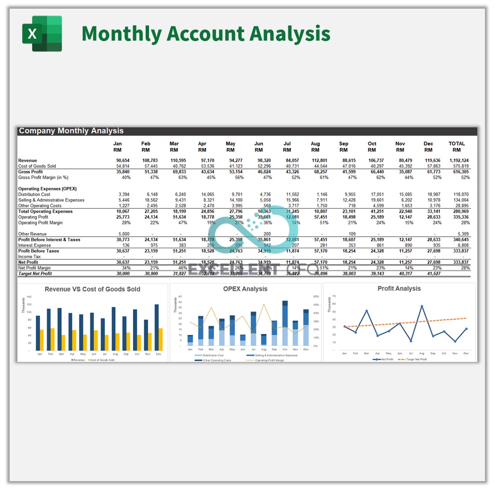 Financial Analysis Excel Templates With Key Ratio Auto Update Printable Editable No Macro