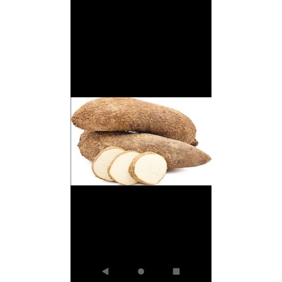 Nigerian raw Yam imported per kilogram | Shopee Malaysia