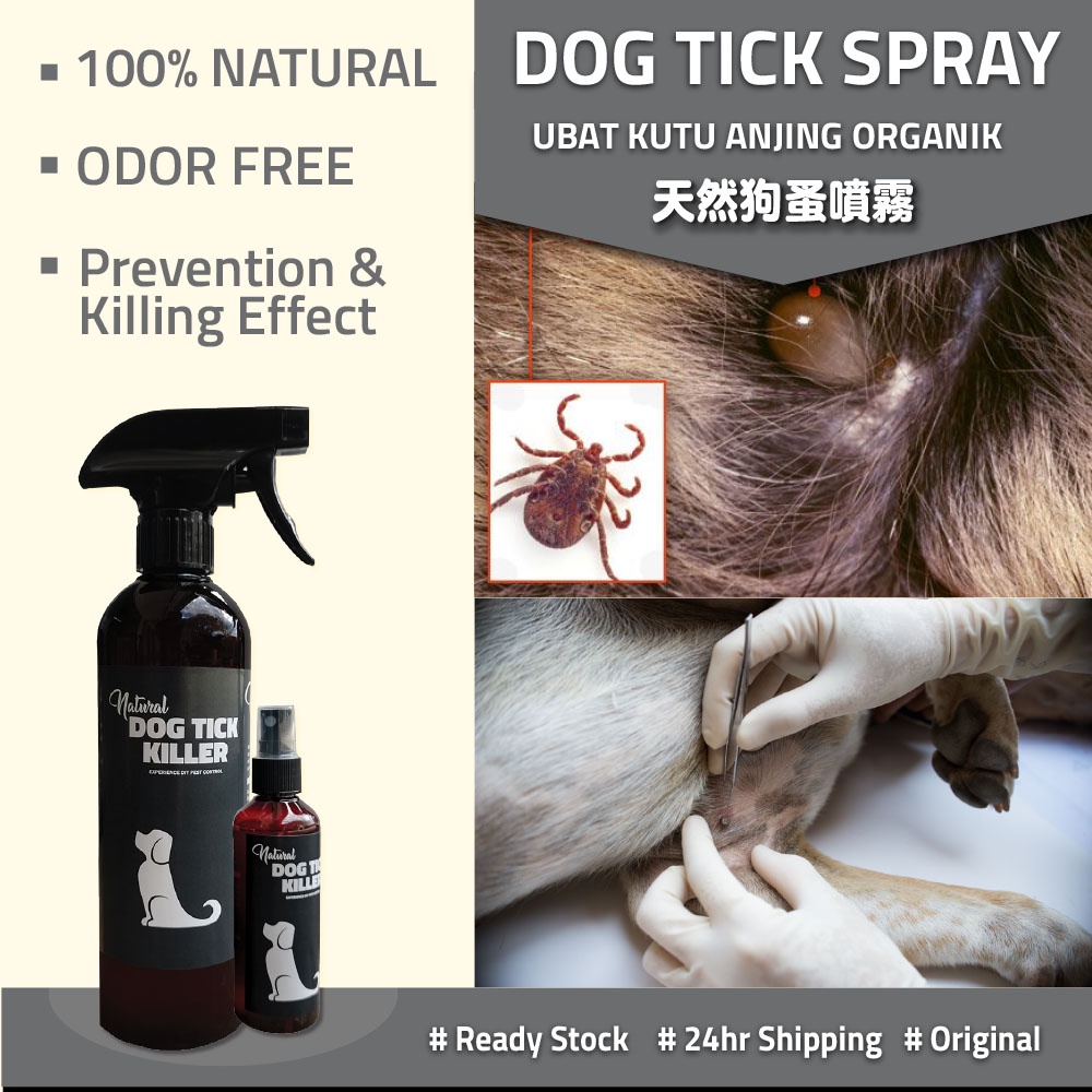 Ubat Semburan Kutu Anjing Natural Dog Tick Spray 天然狗跳蚤喷雾 | Shopee Malaysia