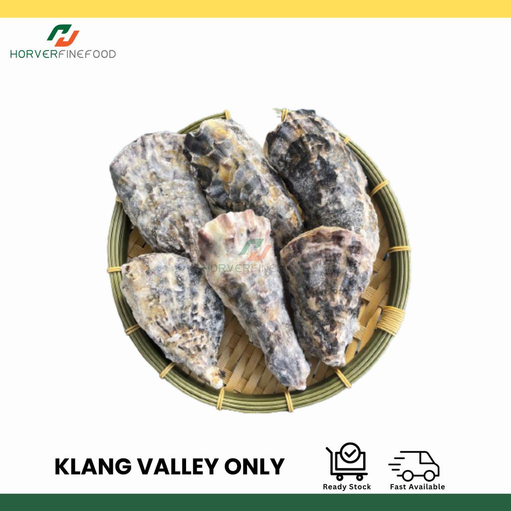 [Frozen] Full Shell Oyster Sashimi Grade 6PCS (120/150 L) 日本生食生蚝 [KLANG ...