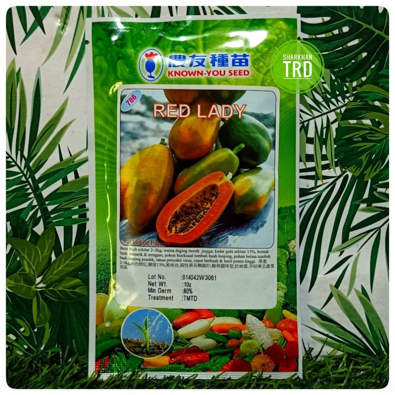 Original🔥 Paket 10g (600-750 Seeds) RED LADY 786 Biji Benih Betik F1 Hybrid Papaya Seeds Known ...