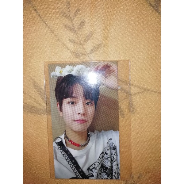 Stray kids skz sg season greeting pob and Scars japan album pola pc ...