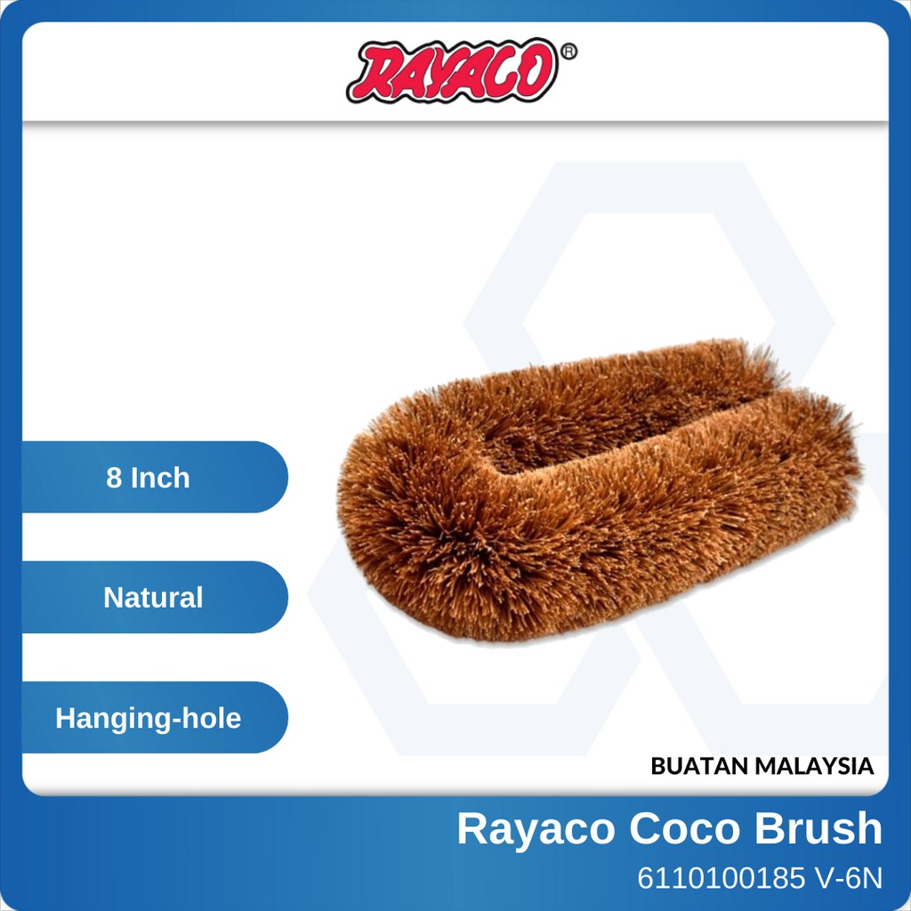 RAYACO 6 8 Inch Brown Coconut Abalone Fiber Coco Brush Natural ...