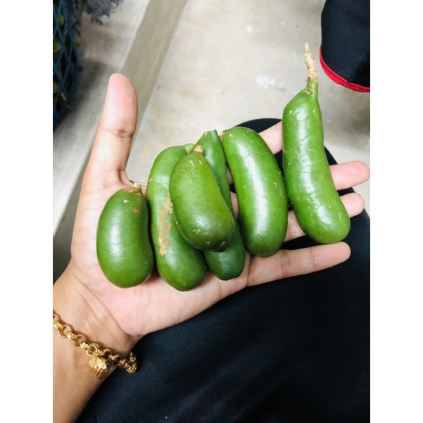 🎀🎊 GENUAK/KERDAS 🎊🎀 | Shopee Malaysia