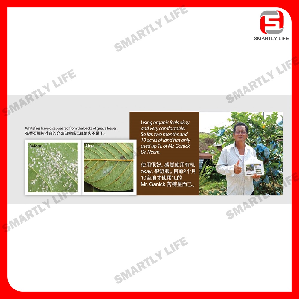 Baba Mr Ganick Dr Neem Natural Pesticide Racun Perosak Non-Toxic Ready ...