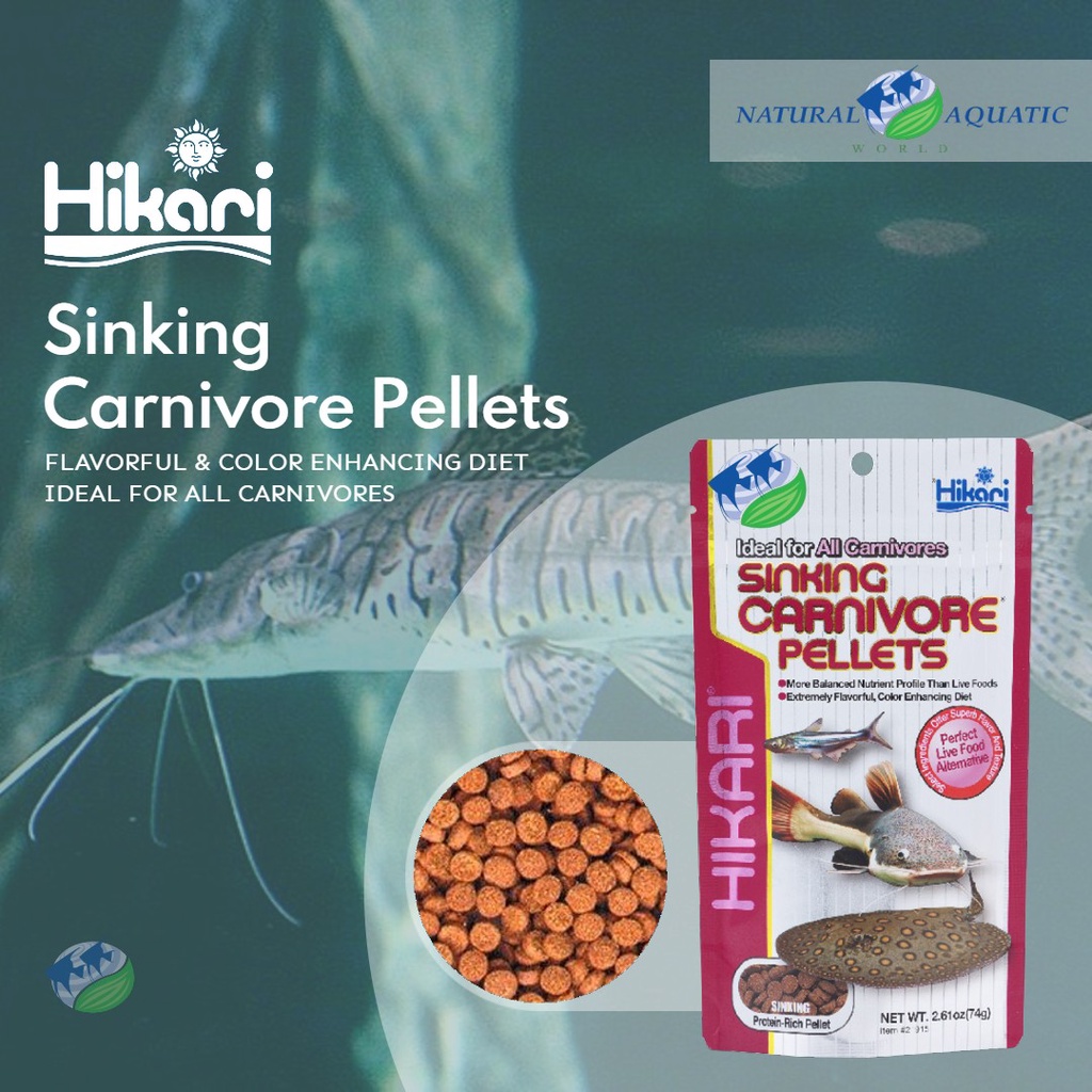 Hikari Sinking Carnivore Pellets (74g) Carnivores Food (Catfish, Shark ...