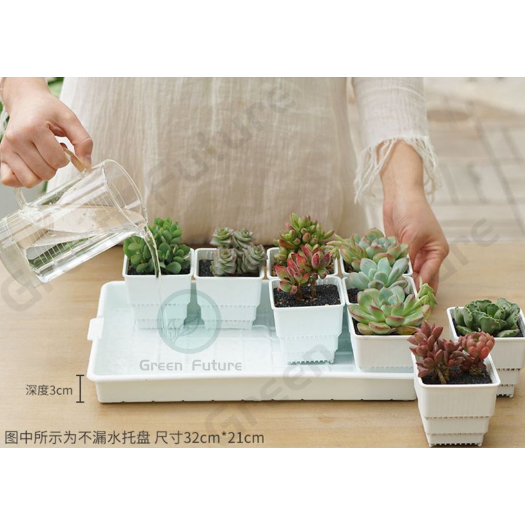 CHERRY POT PLASTIC SAUCER PLANTS FLOWERS LAPEK PASU BUNGA MESHPOT MEST ...