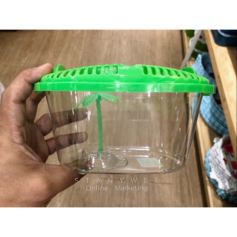 Plastic Mini Aquarium / Bekas Akuarium Kecil / Bekas Kura-Kura Ikan ...