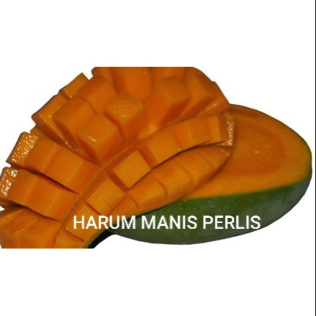 Buah Harum manis perlis | mangga | pelam | | Shopee Malaysia