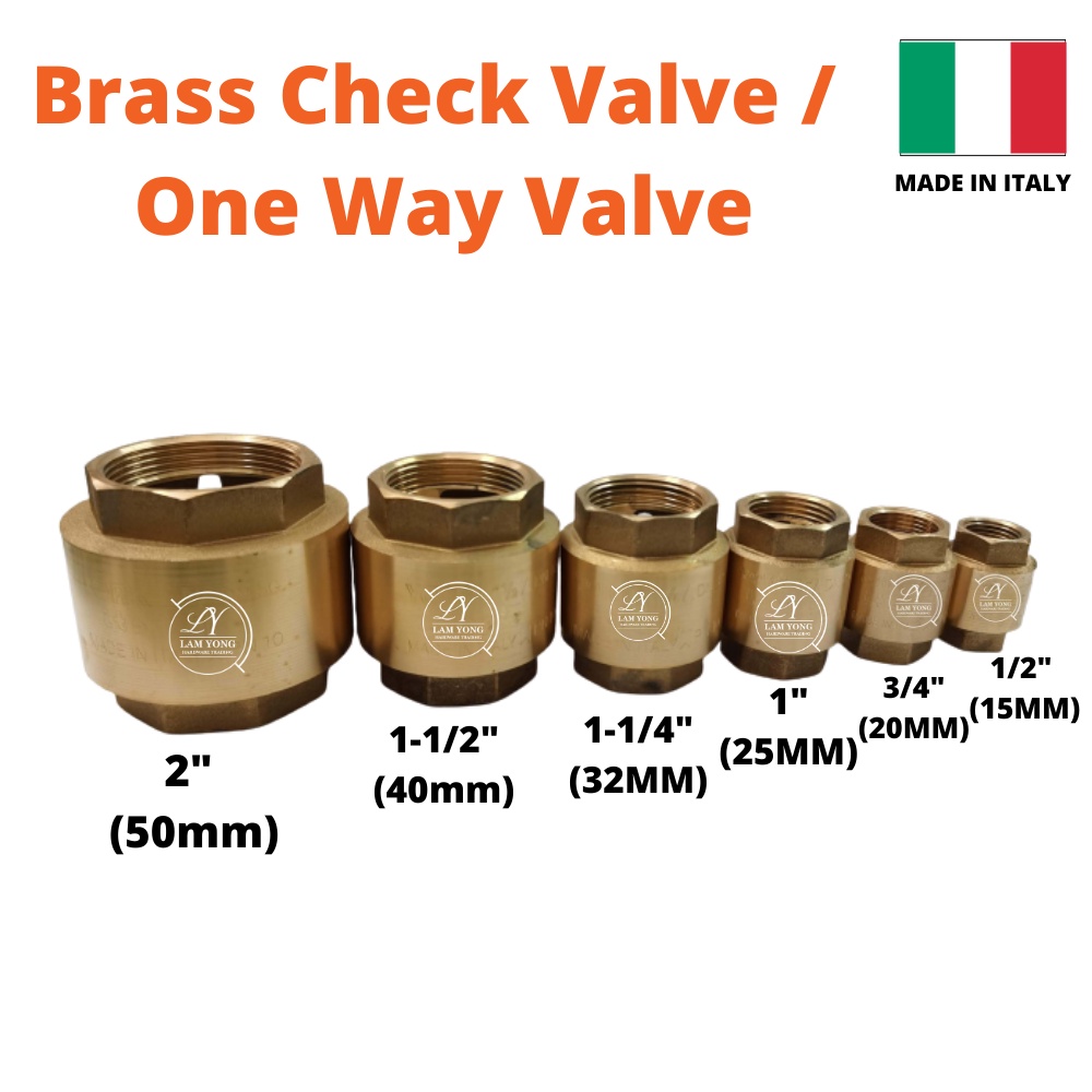 YORK Heavy Duty Brass Check Valve Spring /1 way Valve /one way Valve /Non Return Valve /Swing ...