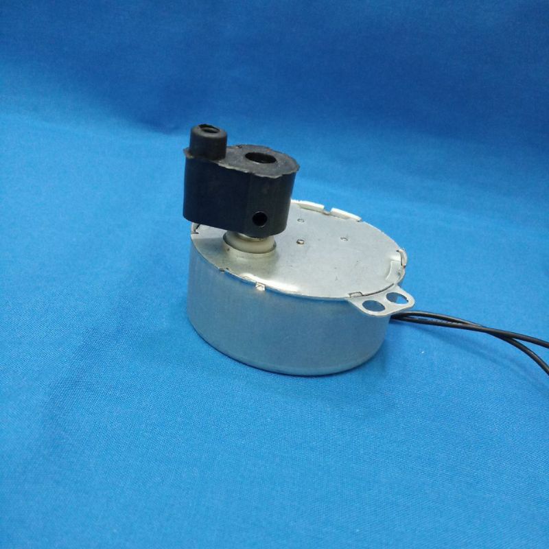 Fan Synchronous Motor Floor Table Stand Fan Shaking Head Motor Swing ...