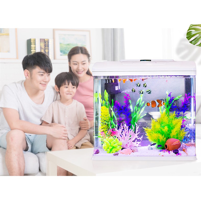 Aquarium mini fish tank with led lighting and filtration system ...