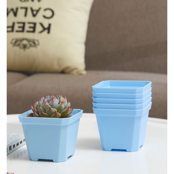 COLORFUL COLOR SUCCULENT CACTUS SQUARE PLASTIC POT PASU MINI PLASTIK ...
