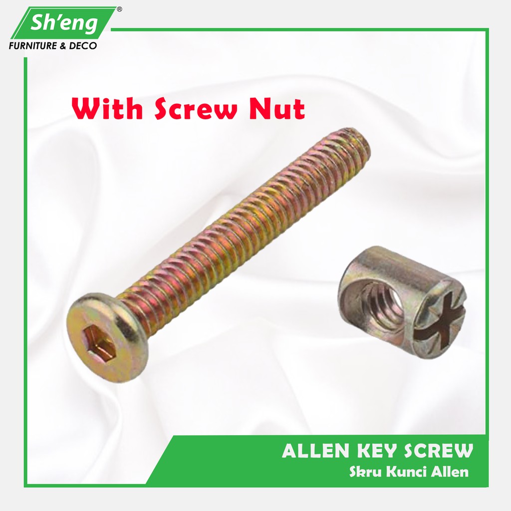 [4 PCS ] Allen Key Screw with Screw Nut Furniture Screw Bolt & Nut ...