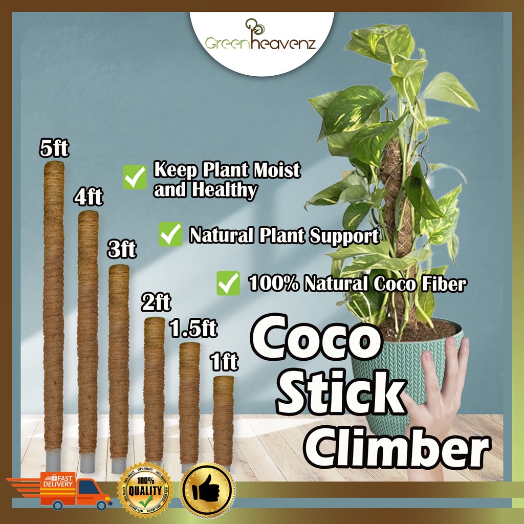 GHZ Coco Stick For Climbing Plant Batang Sabut Kelapa Coco Fiber Pole ...