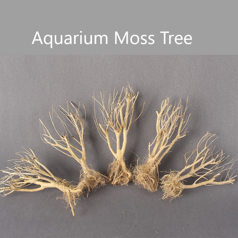 Aquarium Decoration Wood Natural Driftwood Tree Fish Tank Background ...