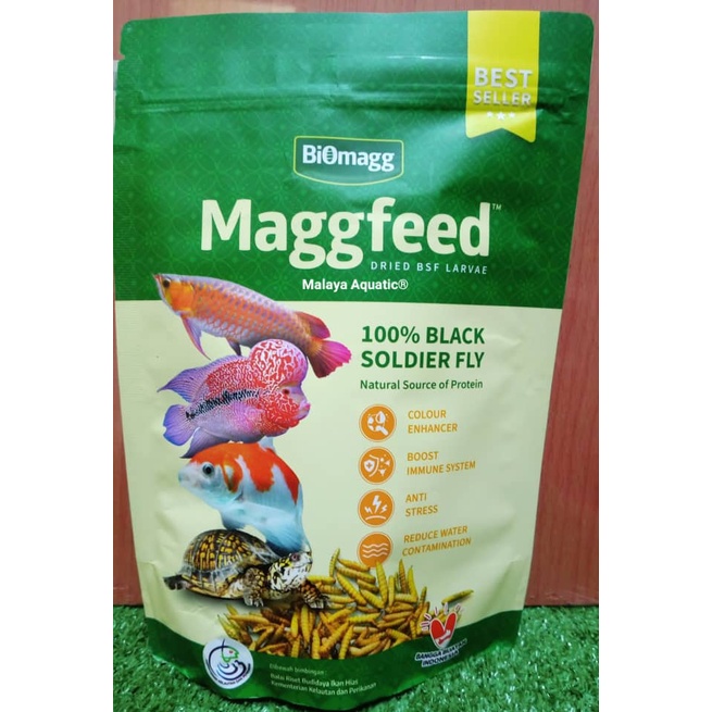 Trial Pack Maggot Maggfeed by Biomagg [Maggot for channa, Arowana ...
