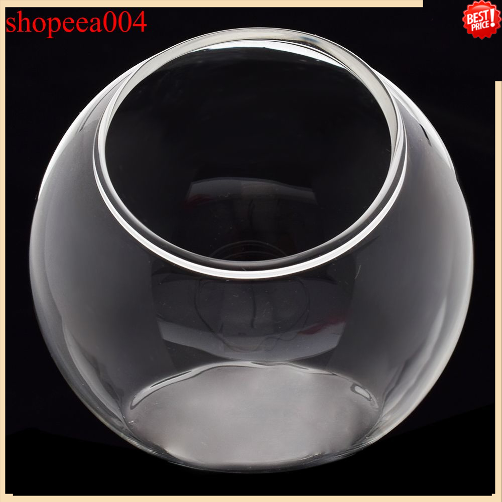 SHOPEEA004 Globe Glass Ball Planter Vase Flower Plant Pot Terrarium ...