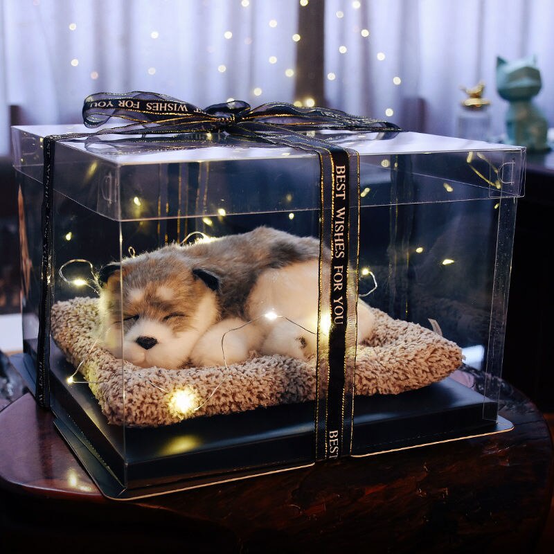 Small Animal Doll Gift Box Ragdoll Puppy Kitten Toy Birthday Valentine ...