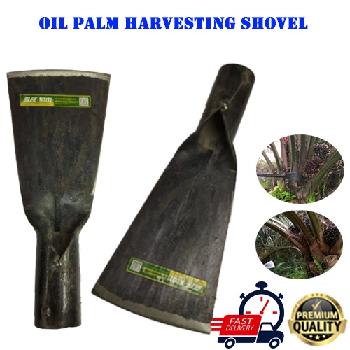 SAMLEE M2222 OIL PALM HARVESTING SHOVEL (WITHOUT HANDLE) / Chop Kelapa ...