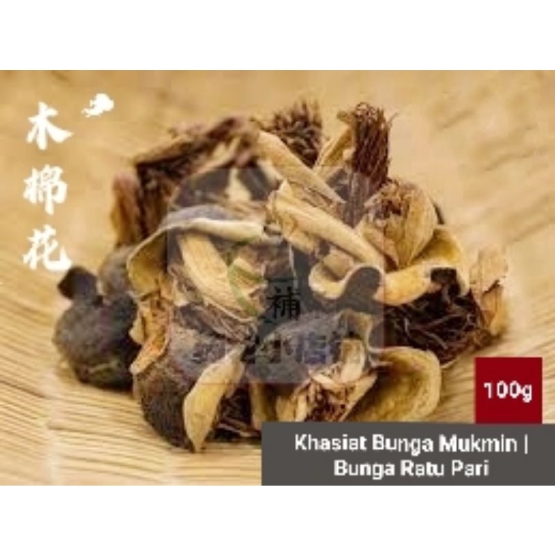 Khasiat Bunga Mukmin | Bunga Ratu Pari | 木棉花 100g | Shopee Malaysia