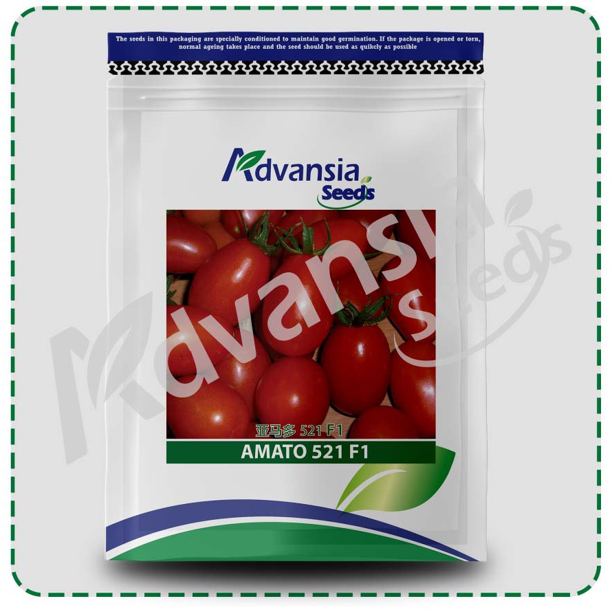 Biji benih Tomato seed 番茄种子 Amato 亚多多 521 F1 1500 seeds Advansia (5 g ...