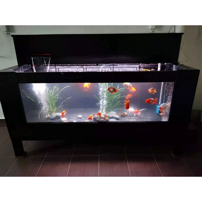 New Design Aquarium 6' x 2.5' x 2' Fibre Fish Tank Front Glass with ...