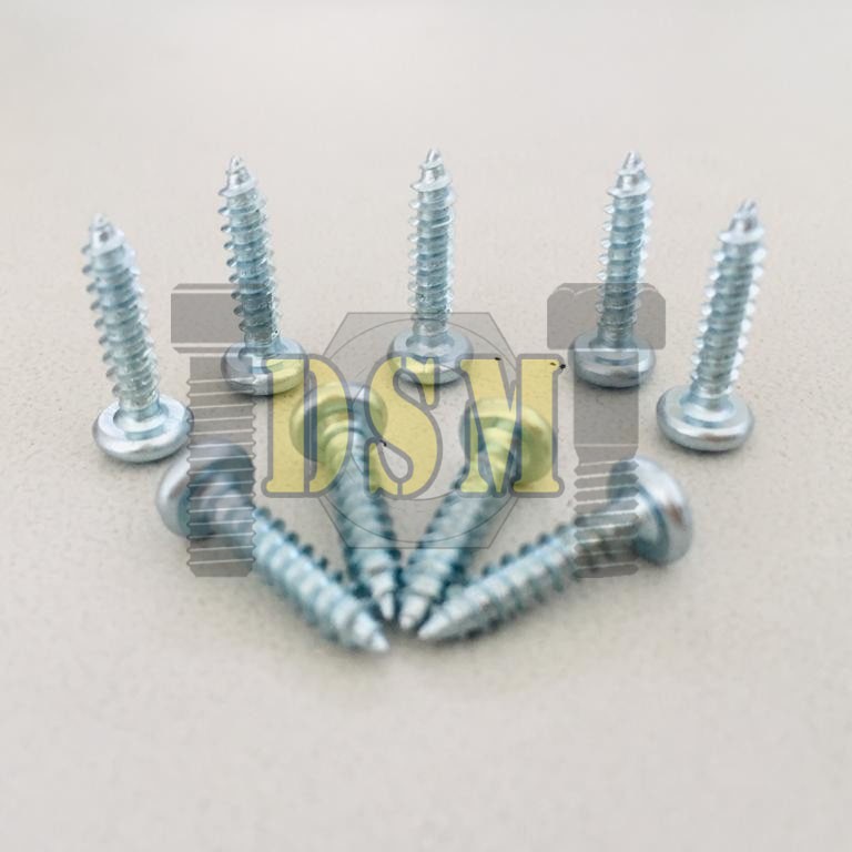 (100 Pcs) PH Screws 8x1/2" / Self Tapping Screw P+AB (1,3 CM) | Shopee ...