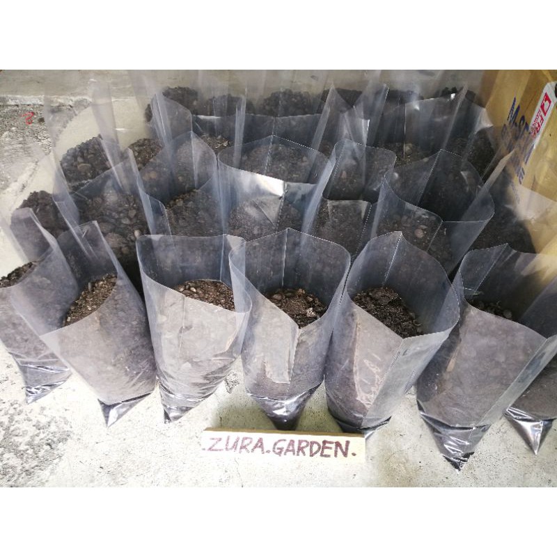 🌷1kg tanah hitam sawit + baja + cocopeat 🌷subur poros air / planting ...