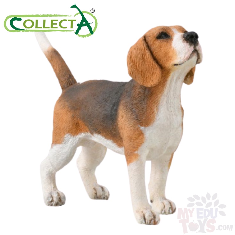 Beagle - Collecta 88935 Dog Animal Action Figure / Toy Figurine ...