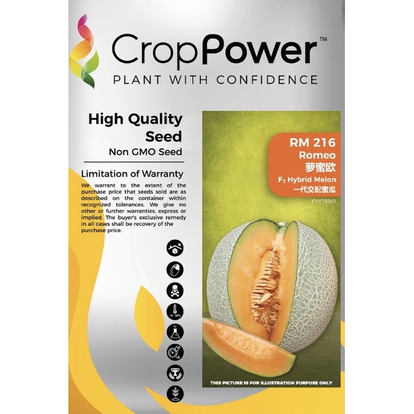 Benih Melon RM216 Romeo F1 Hybrid Melon Crop Power - ( 100 seeds ) 👍 💯 ...