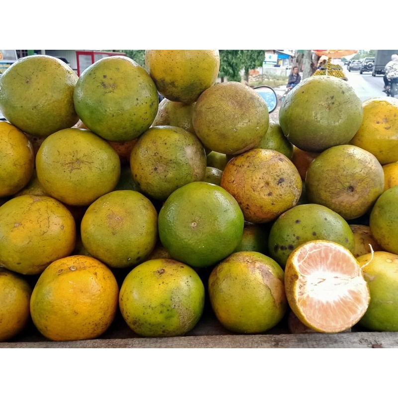 limau madu/ limau manis | Shopee Malaysia