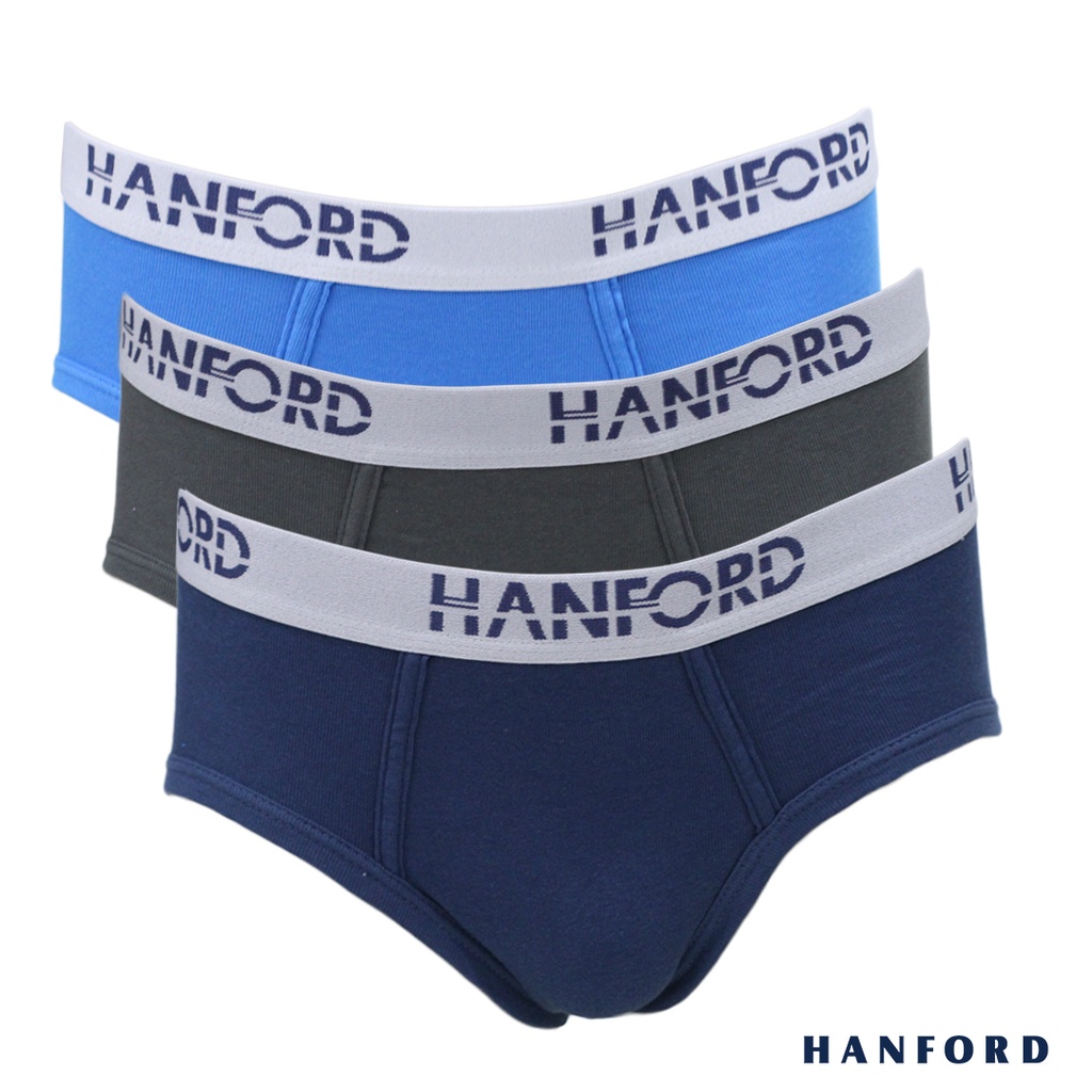 Hanford Men Premium Ribbed Cotton Hipster Briefs Ashton/Colton ...