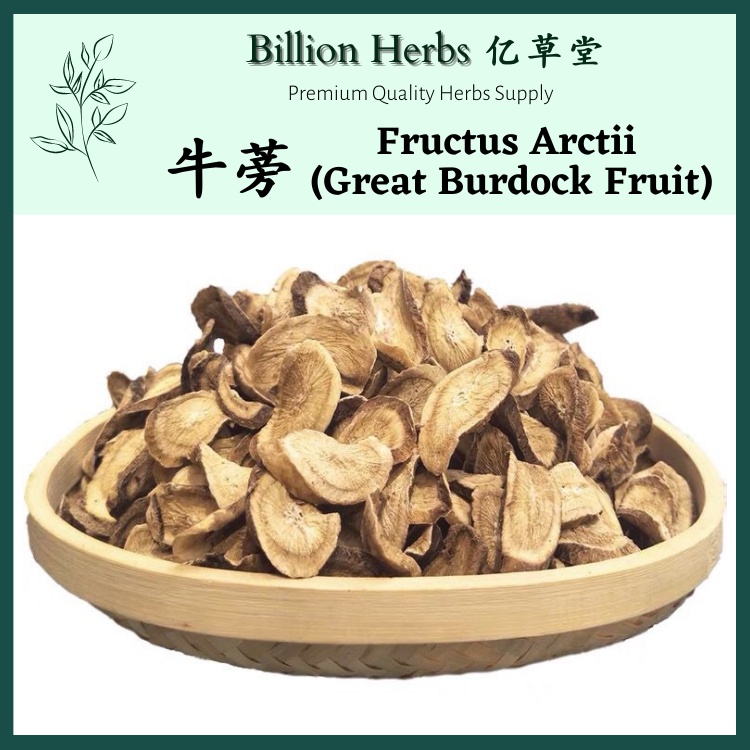 亿草堂 Billion Herbs 牛蒡根 100g Fructus Arctii (Great Burdock Fruit) / 中药材 ...