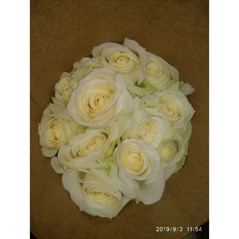 🌹Ready Stock 🌹 Roses 🌹20stalks🌹 Fresh Flower From Cameron Highlands 🌹🌹 ...
