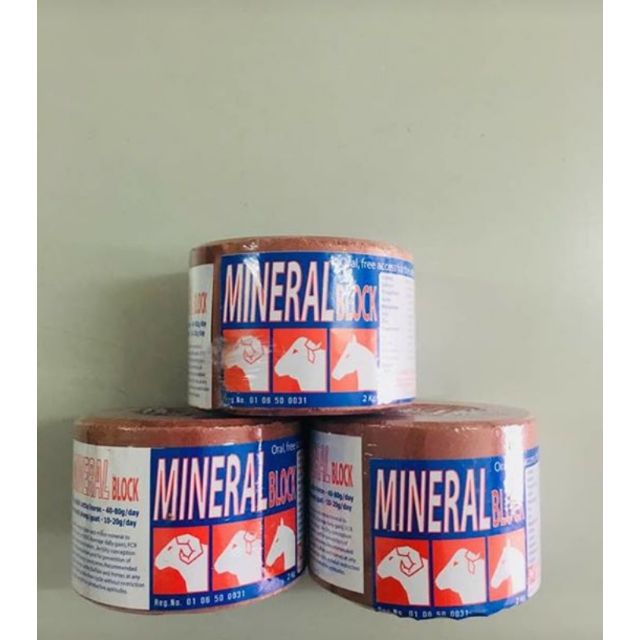 MINERAL BLOCK 2KG PER BLOCK / GARAM JILAT | Shopee Malaysia