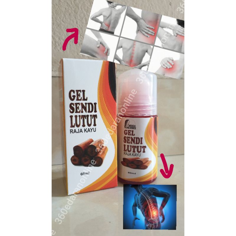 Gel Sendi Lutut Raja Kayu Roll On 60ml (Ready stock) | Shopee Malaysia