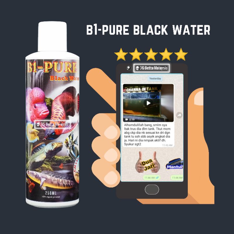 Channa Active Formula B1-Pure Blackwater 250ml utk groom maru, auranti ...